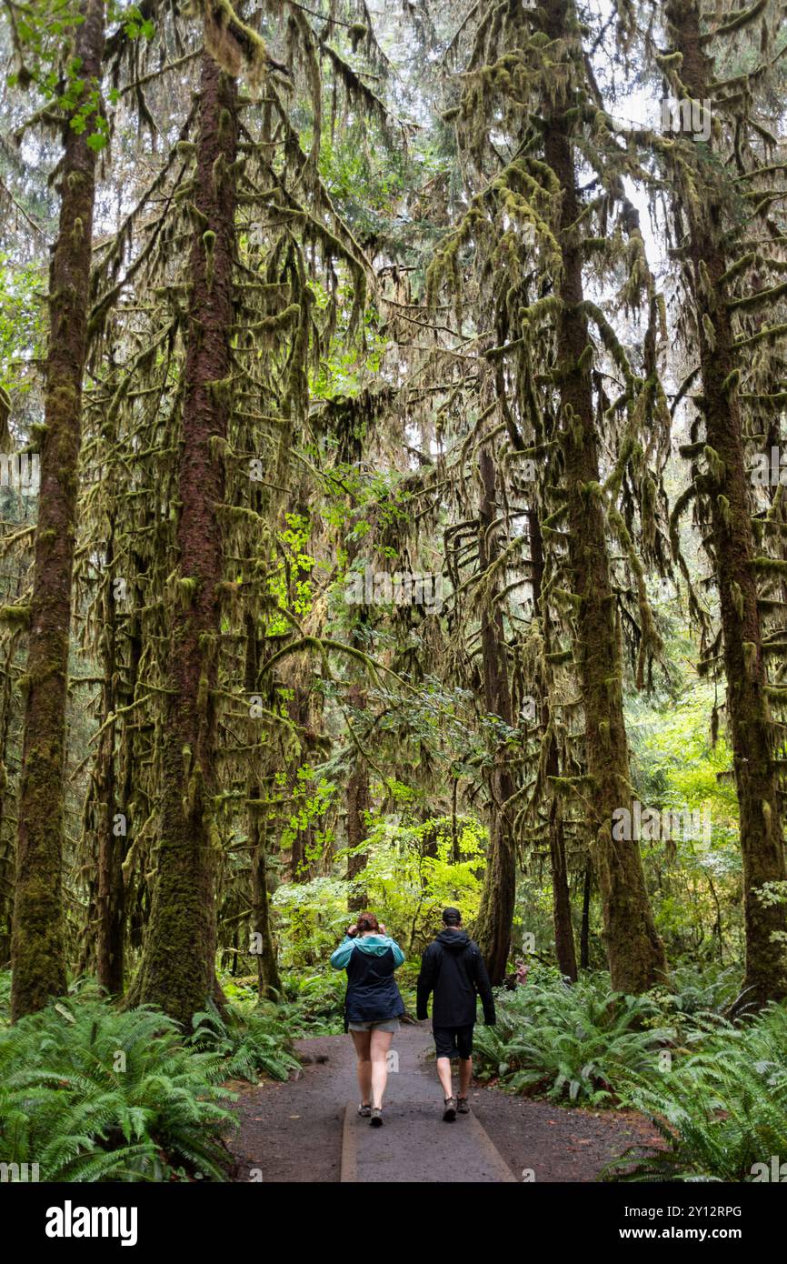 Pair tourists hiking in forest hi-res stock photography and images - Alamy