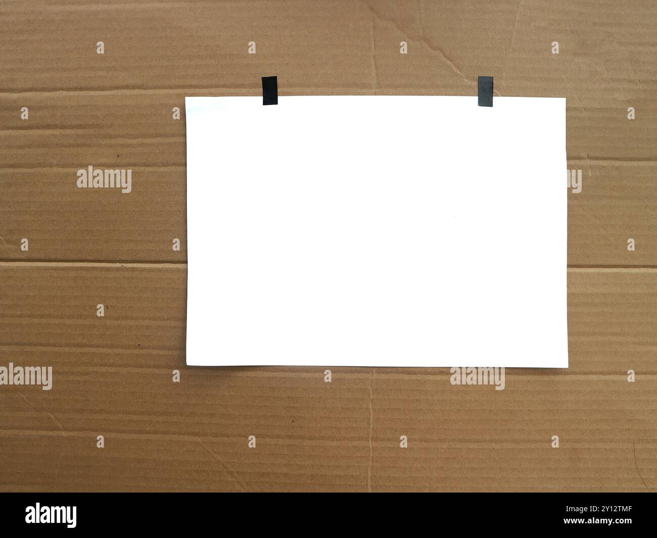 A blank sheet of paper is attached to a piece of cardboard Stock Photo ...