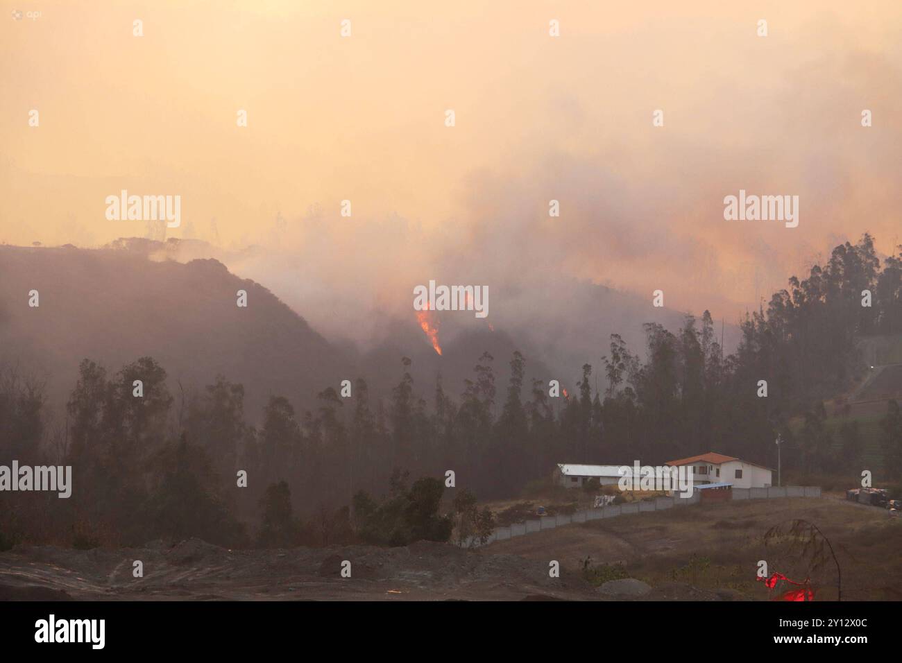 INCENDIO PIFO TUMBACO Quito, Wednesday, September 4, 2024 Forest fire ...