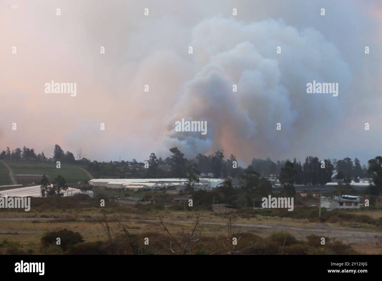 INCENDIO PIFO TUMBACO Quito, Wednesday, September 4, 2024 Forest fire ...