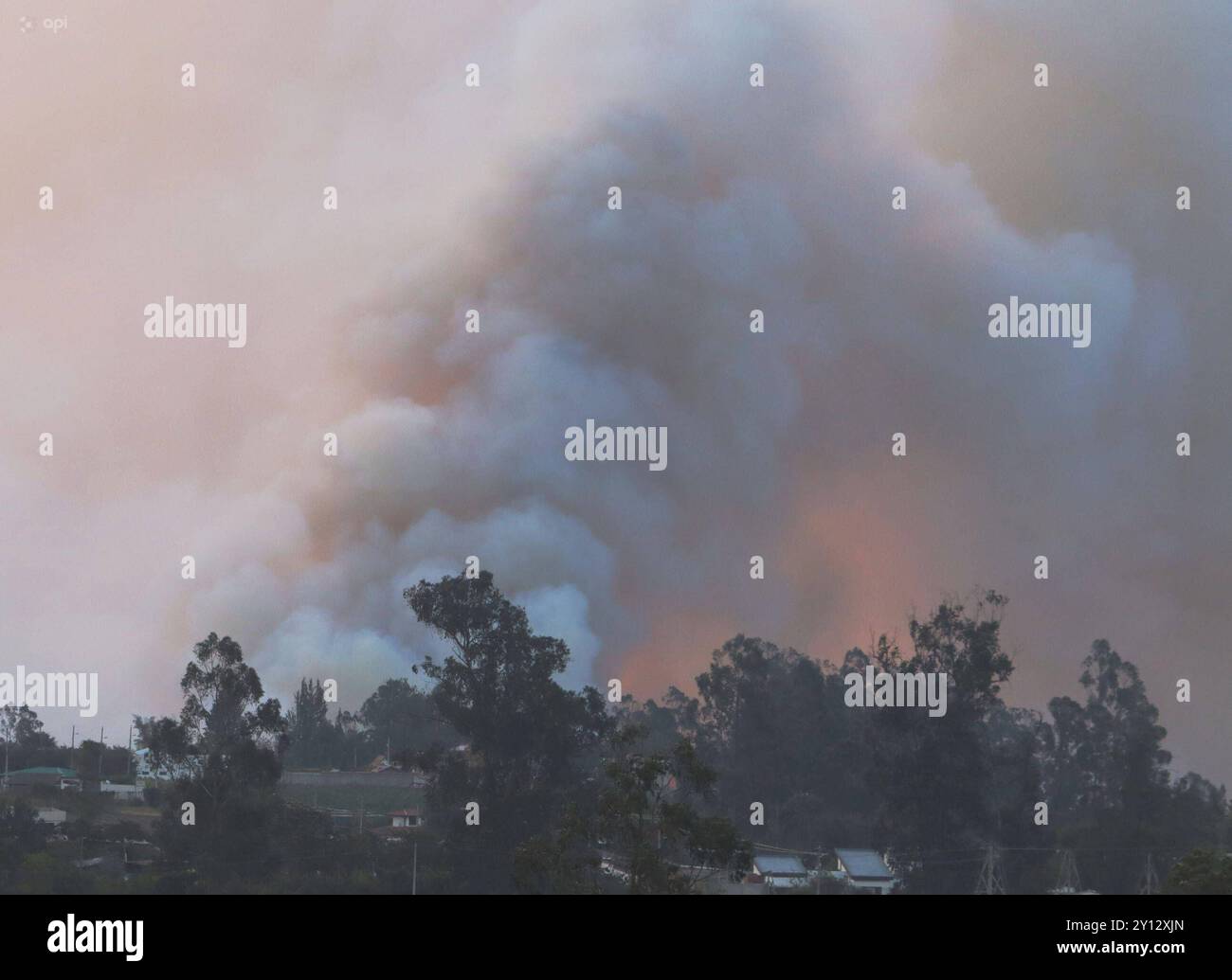 INCENDIO PIFO TUMBACO Quito, Wednesday, September 4, 2024 Forest fire ...