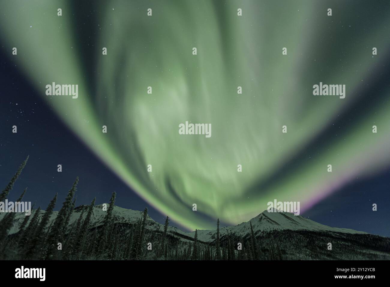 Northern Lights over snowy mountains and trees, Aurora borealis, Brooks ...