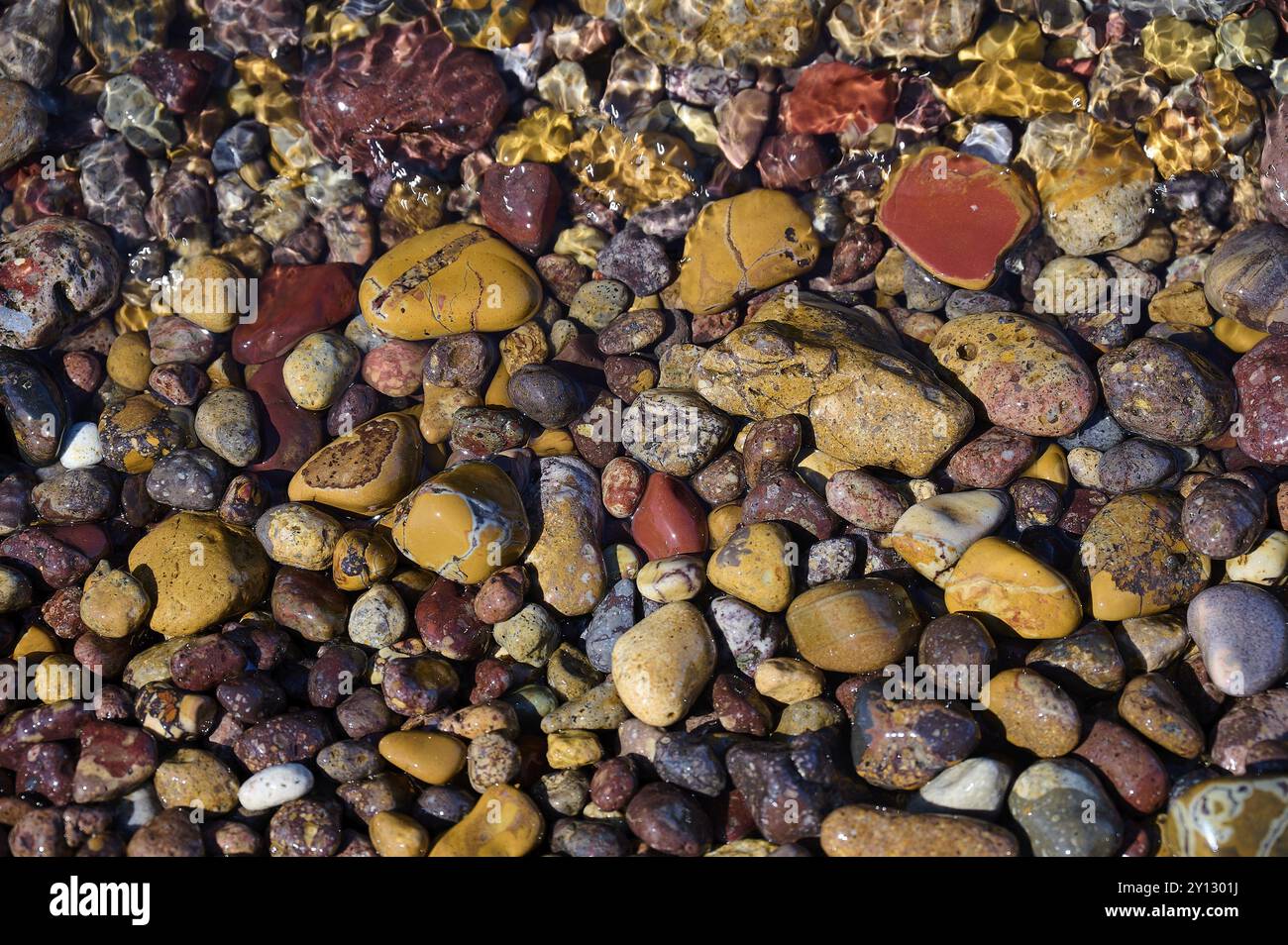 Varied colourful pebbles under water, whose colours and textures blend ...