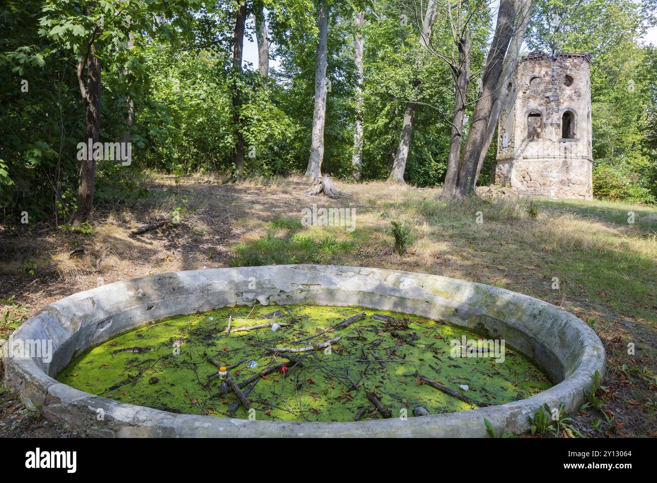 The Blechburg is a ruined former lookout tower with a viewing bastion ...