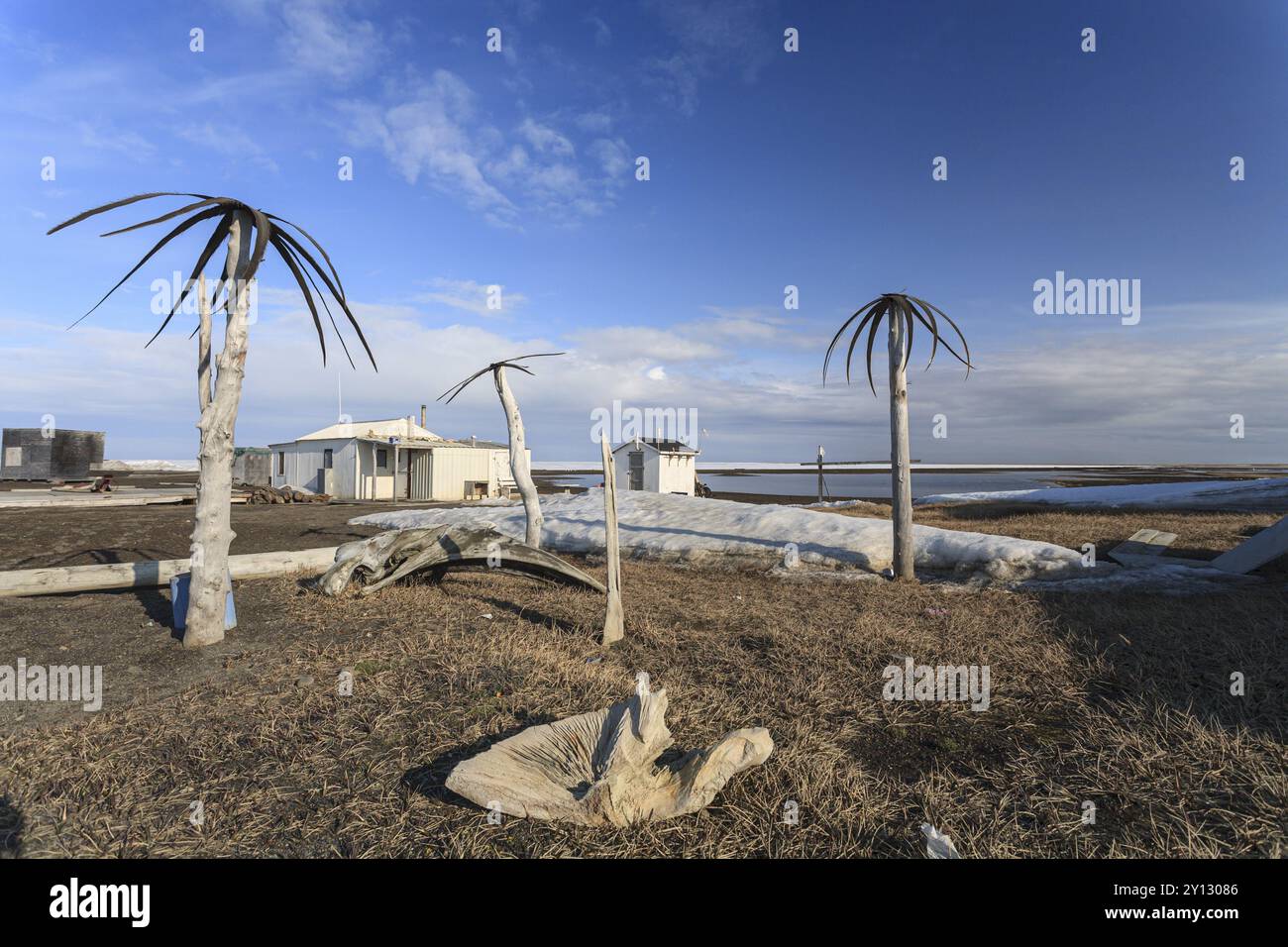 Palm trees made of whale skin, art, Inuit, Point Barrow, Barrow, Alaska ...