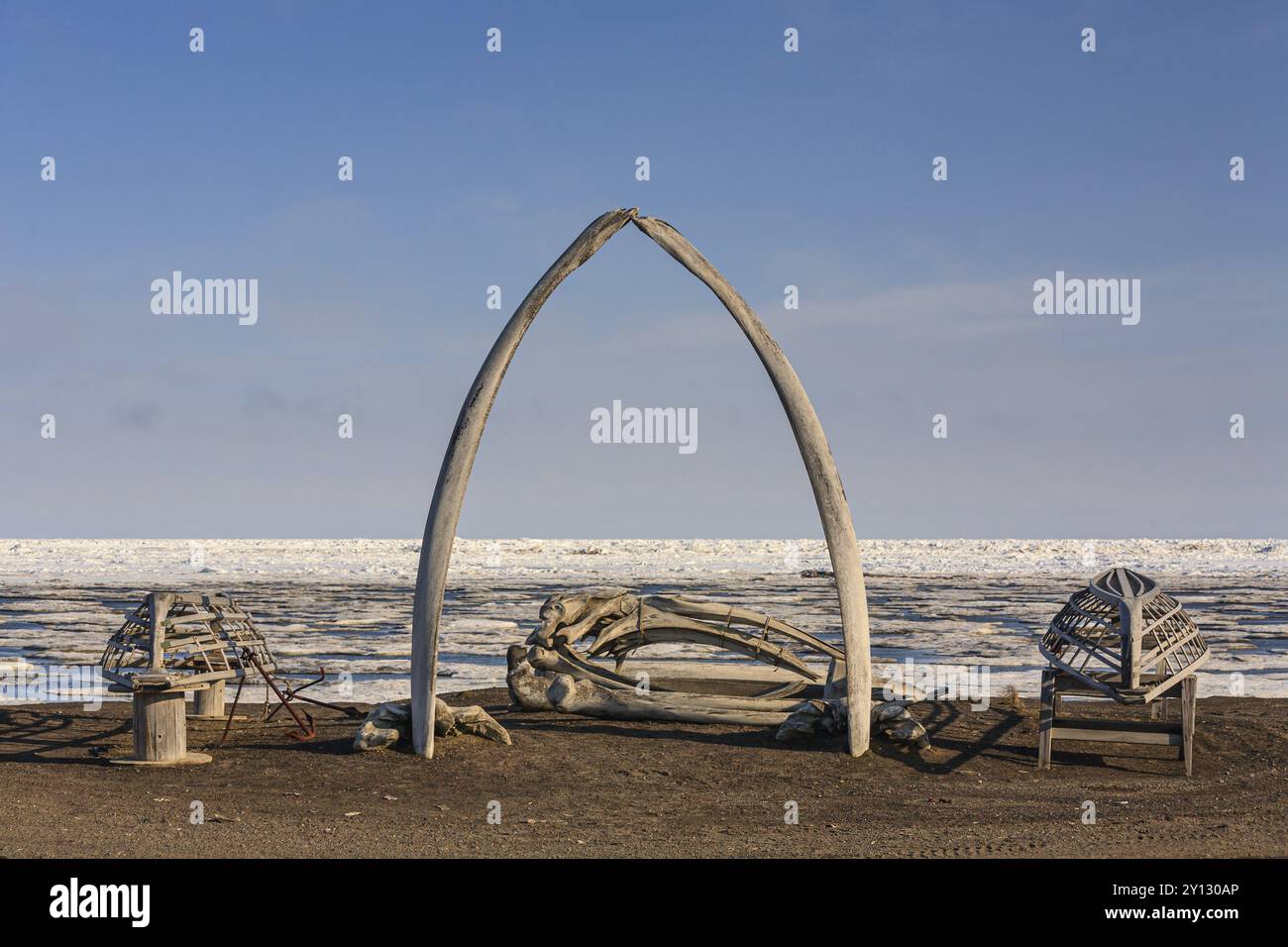 Whale bones and boat scaffolding off the Arctic Ocean, pack ice, Point ...