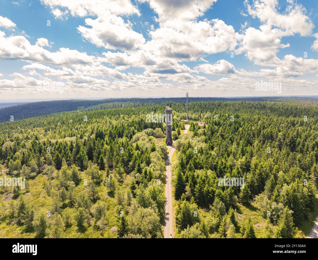 An observation tower rises in the middle of a dense forest under a blue sky with white clouds ...