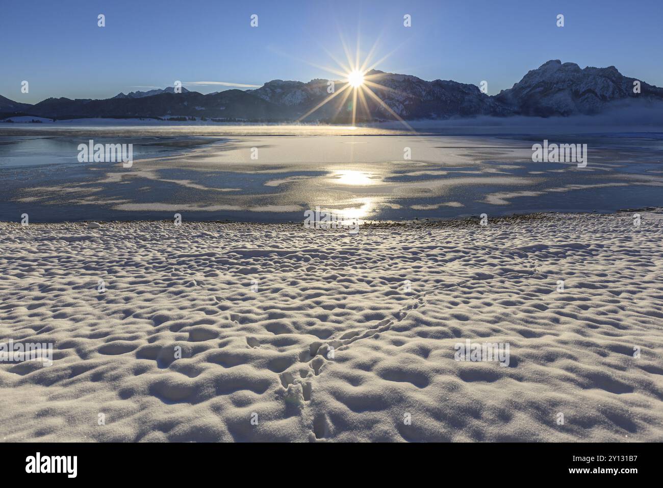 Sunrise at a lake in front of mountains, snow, winter, Forggensee ...