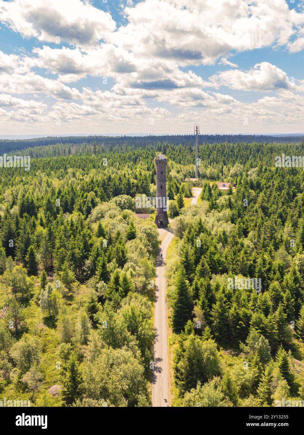 A narrow path leads to an observation tower, surrounded by dense forest and a blue sky with ...