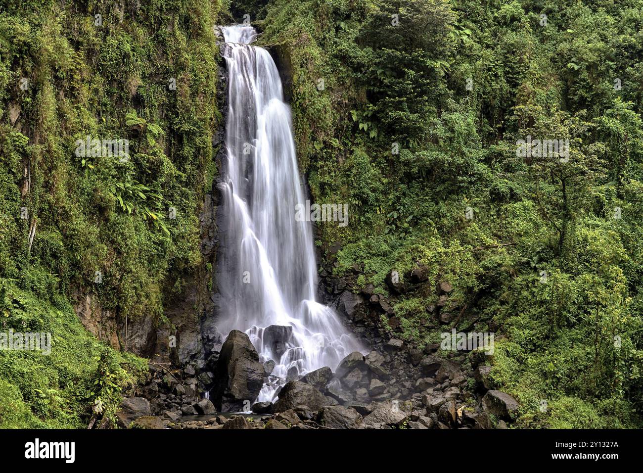 Caribbean, Dominica, waterfall, Victoria Falls, Domenica, Central ...