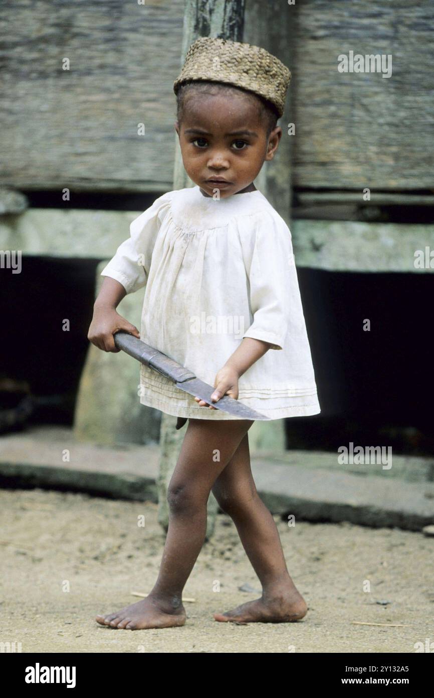 Crown sifaka, Madagascar, Coquerels crown sifaka, Prophitecus verreauxi ...