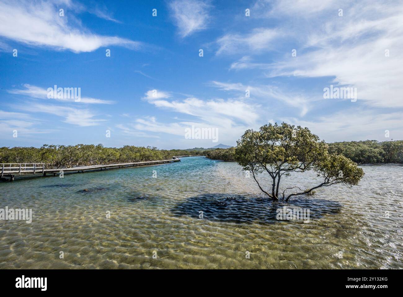 wetlands of the Kalang River and South Arm Bellingen River at Bellinger ...