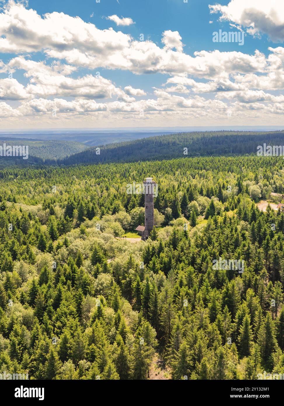 Single observation tower in the middle of a large forest, surrounded by green areas and a partly ...