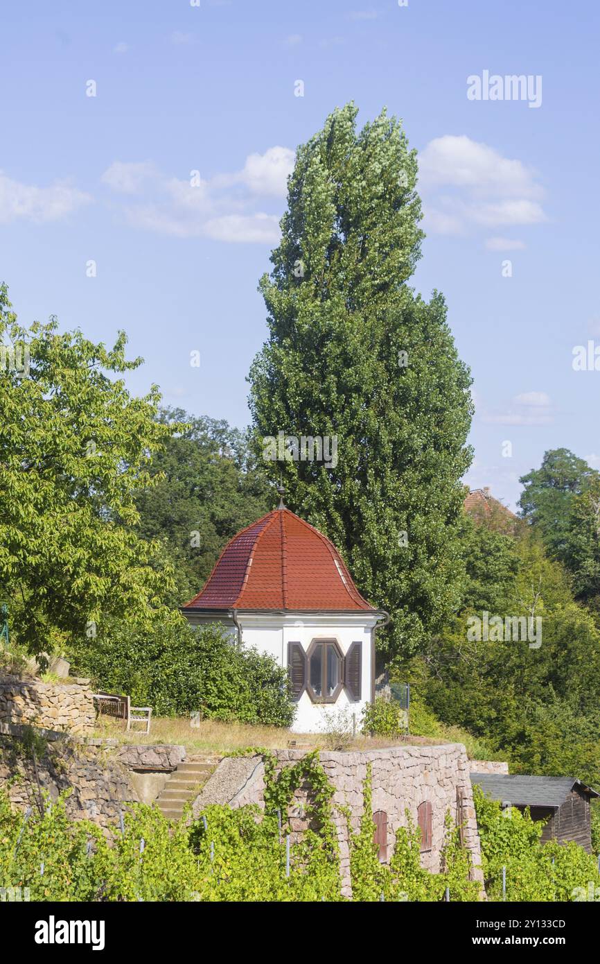 Rebkultour hi-res stock photography and images - Alamy