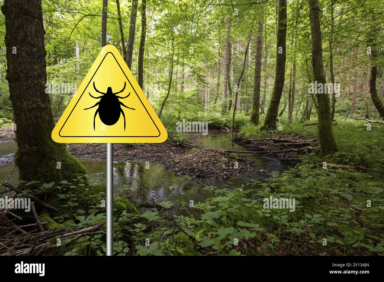 Tick insect warning sign in infected forest. Lyme disease and ...
