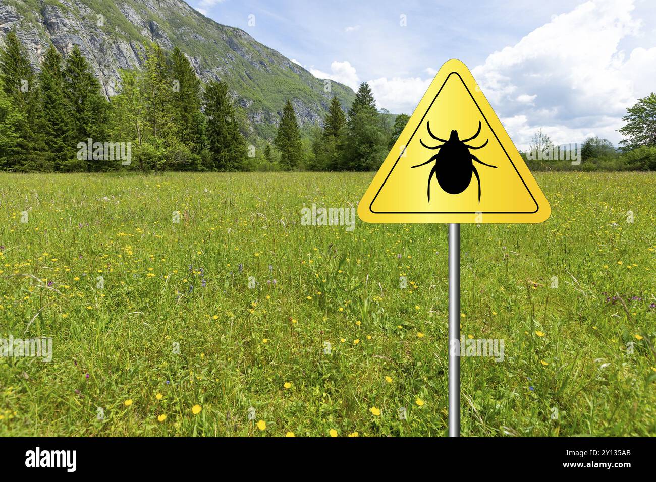 Tick insect warning sign on infected meadow. Lyme disease and ...