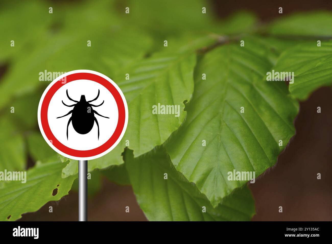 Tick insect warning sign in nature forest. Lyme disease and tick-borne ...