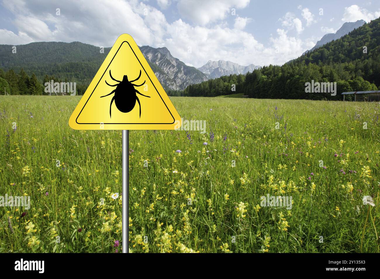 Tick insect warning sign on infected meadow. Lyme disease and ...