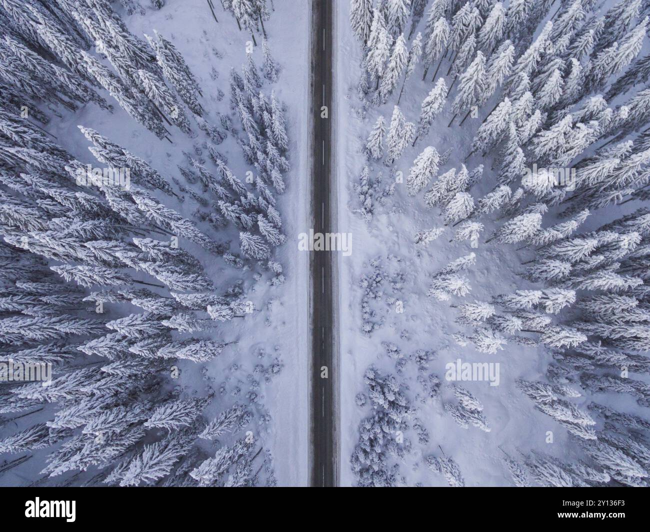 Aerial top down shot running hi-res stock photography and images - Alamy