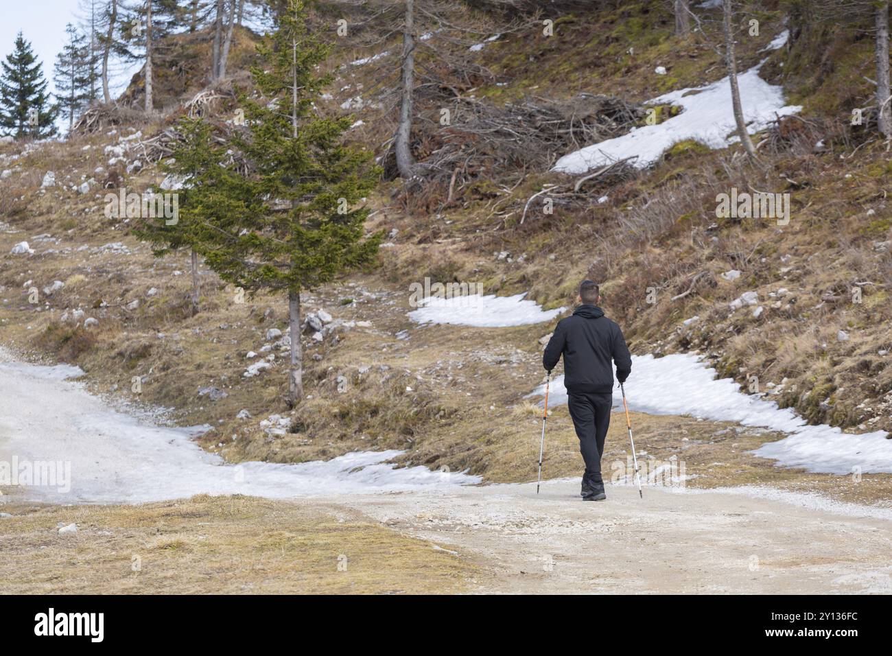 Casual and active healthy man hiking in Alpine mountains with trekking ...