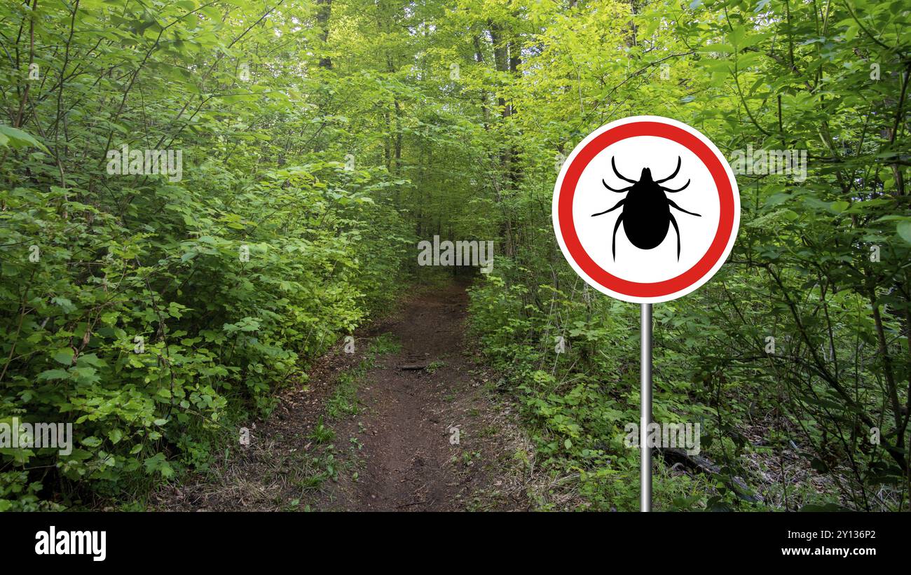 Tick insect warning sign in infected forest. Lyme disease and ...