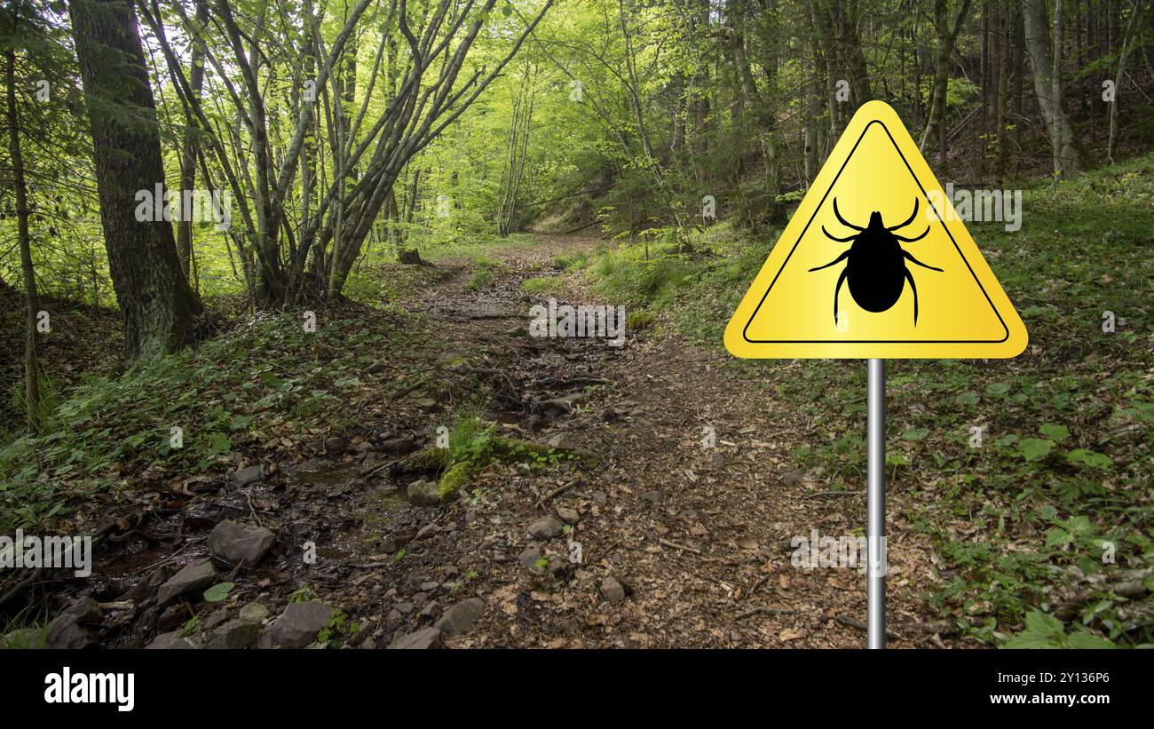 Tick insect warning sign in infected forest. Lyme disease and ...