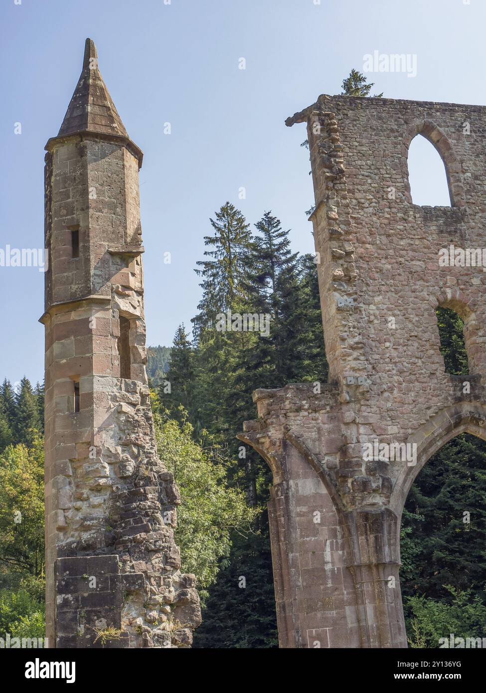 Stone ruin with an old tower and arched windows, surrounded by trees ...