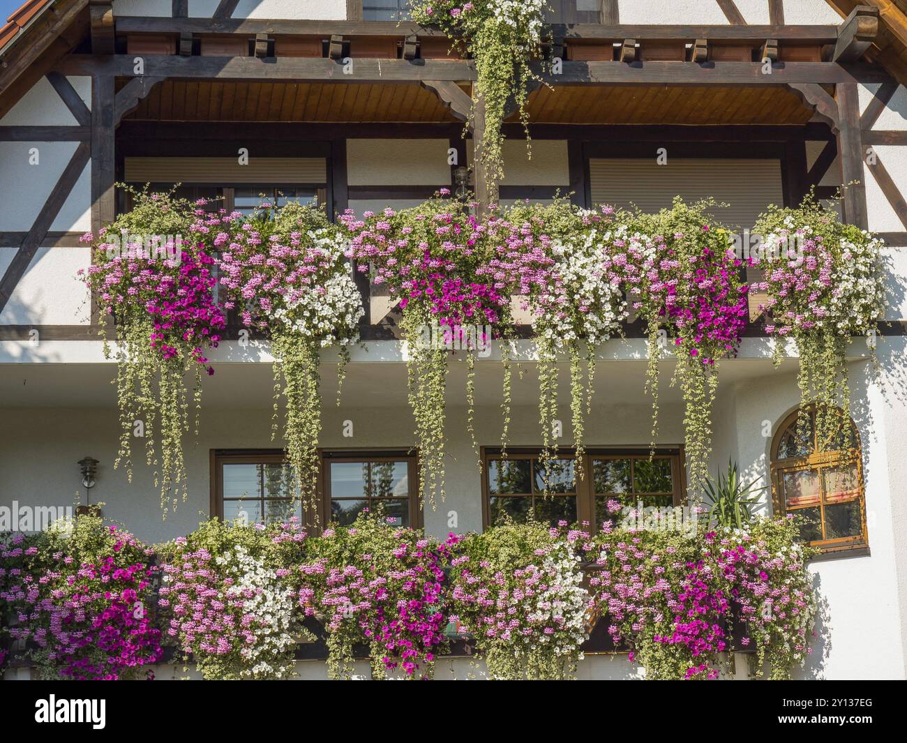 Half-timbered house with richly flowering balcony full of colourful ...