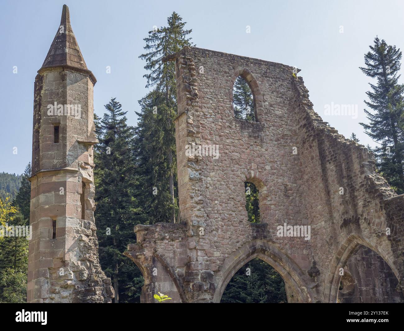 Part of an old ruin with tower and arched windows, surrounded by a ...