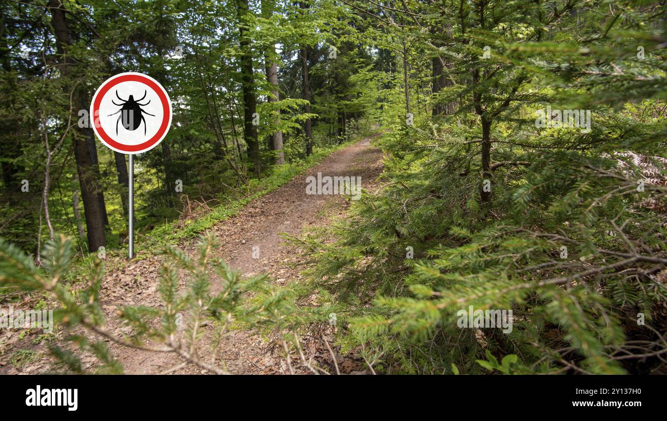 Tick insect warning sign in infected forest. Lyme disease and ...