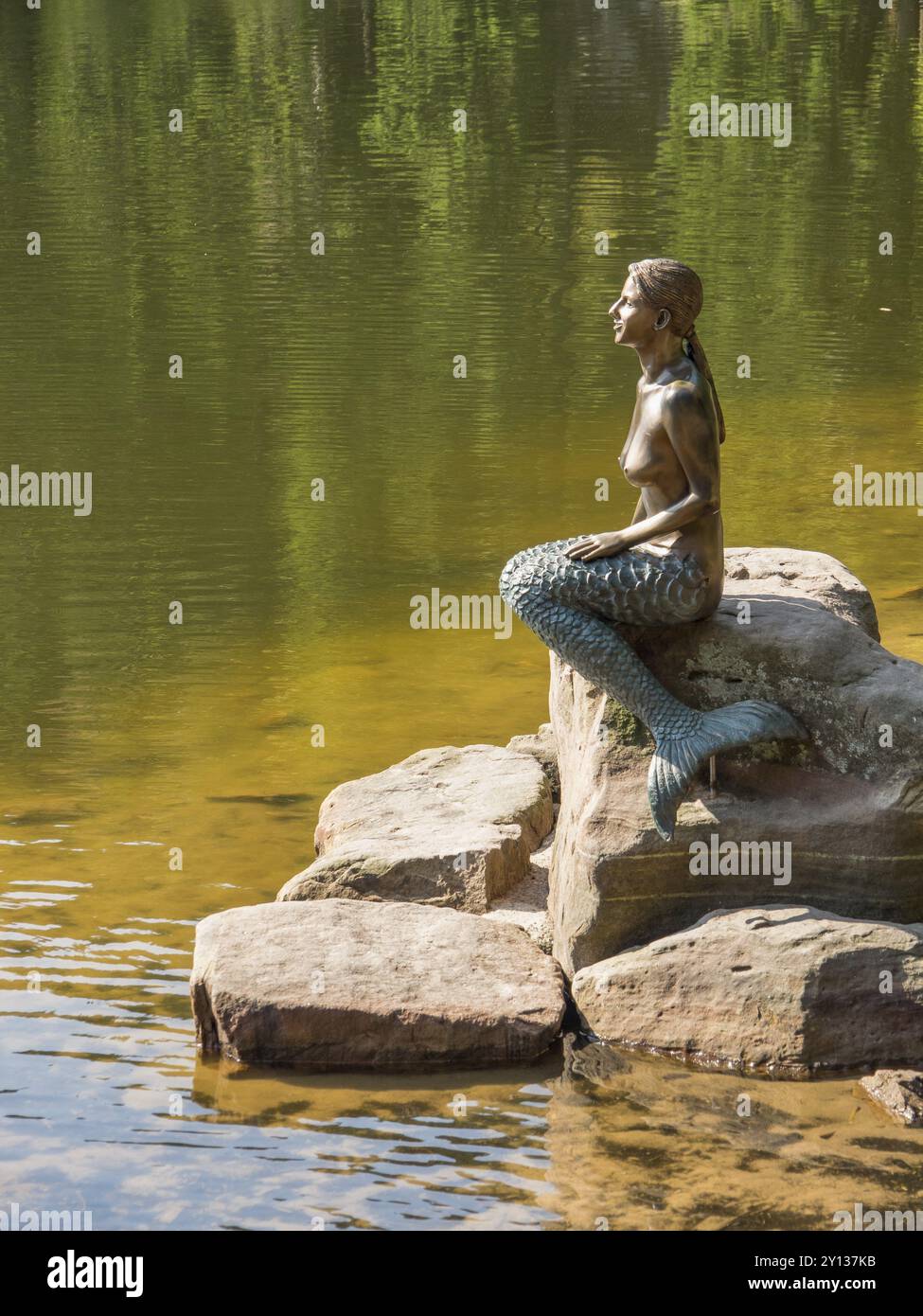A bronze mermaid statue sits on a stone in the lake, surrounded by calm ...