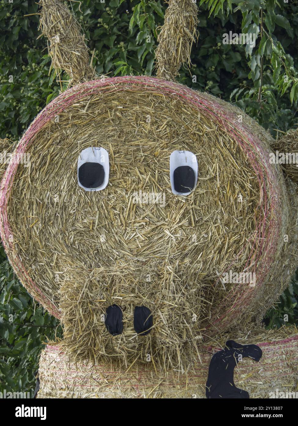 Artwork made of hay bales in the shape of a cow's face in front of a ...