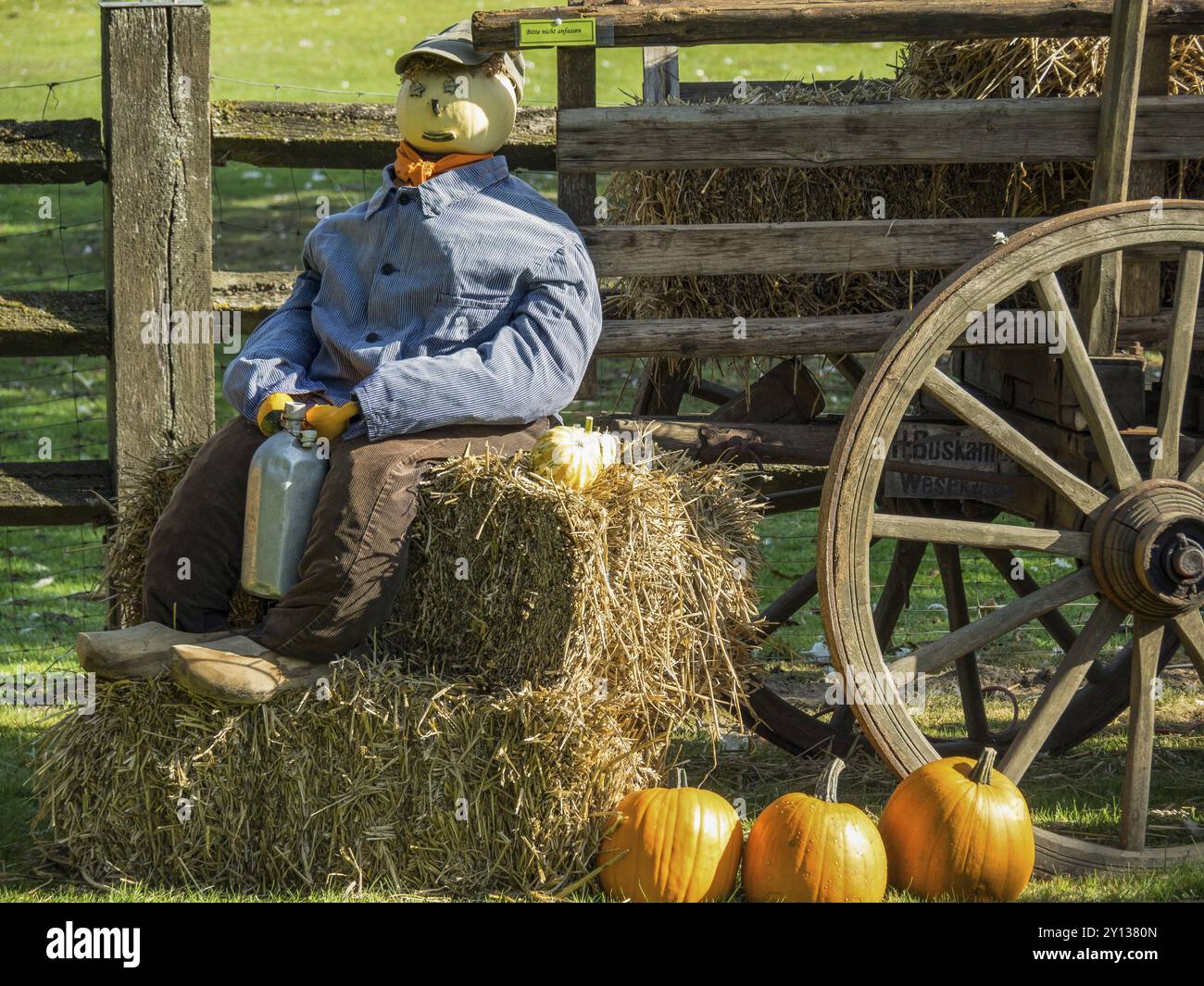 A straw doll sits on a hay bale next to several pumpkins and an old ...