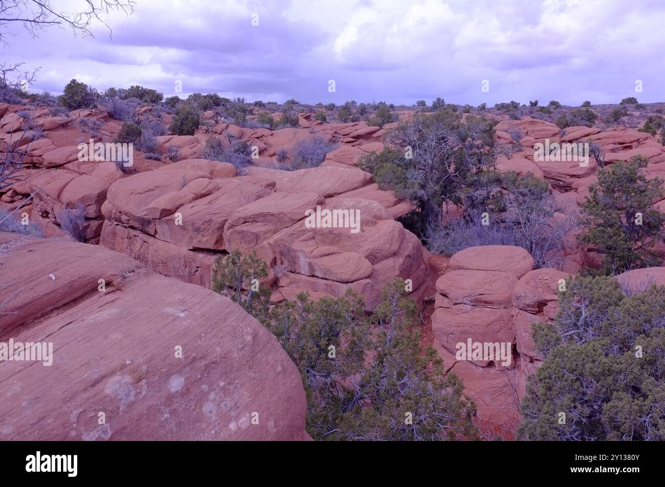 Photo of Rock fins in Fin Canyon within the Devils Garden in Arches ...