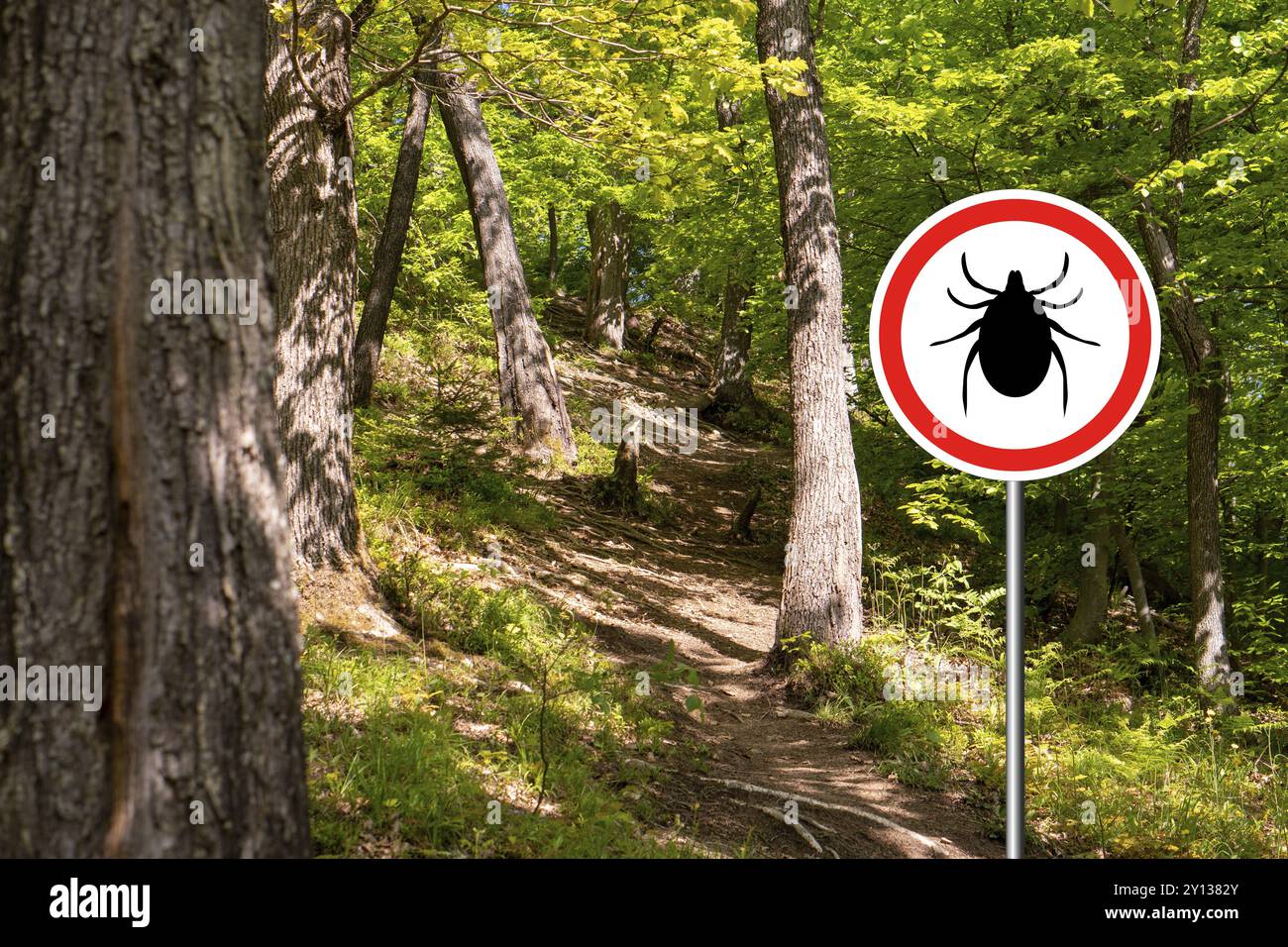 Tick insect warning sign in infected forest. Lyme disease and ...