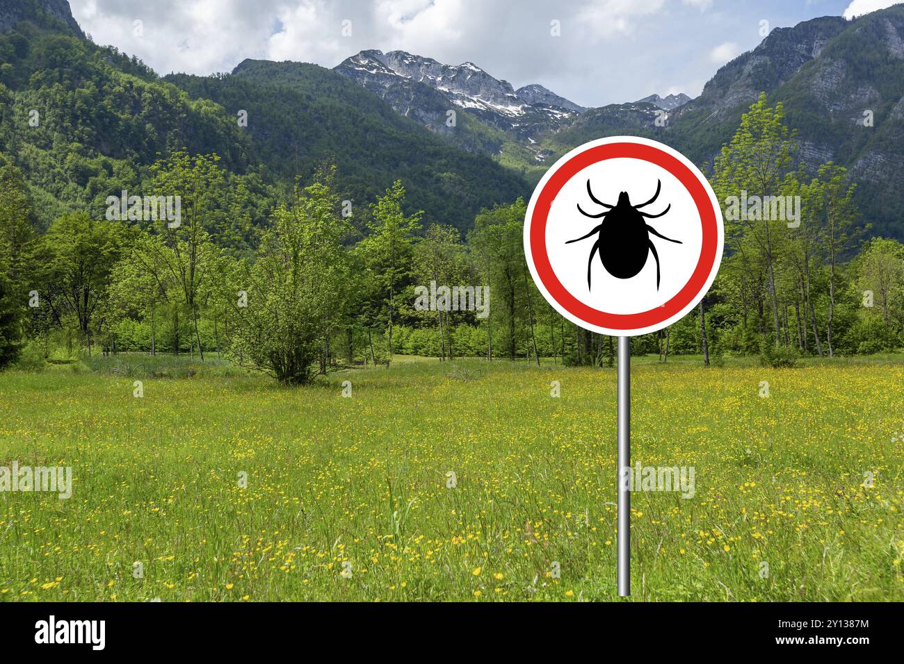 Tick insect warning sign on infected meadow. Lyme disease and ...