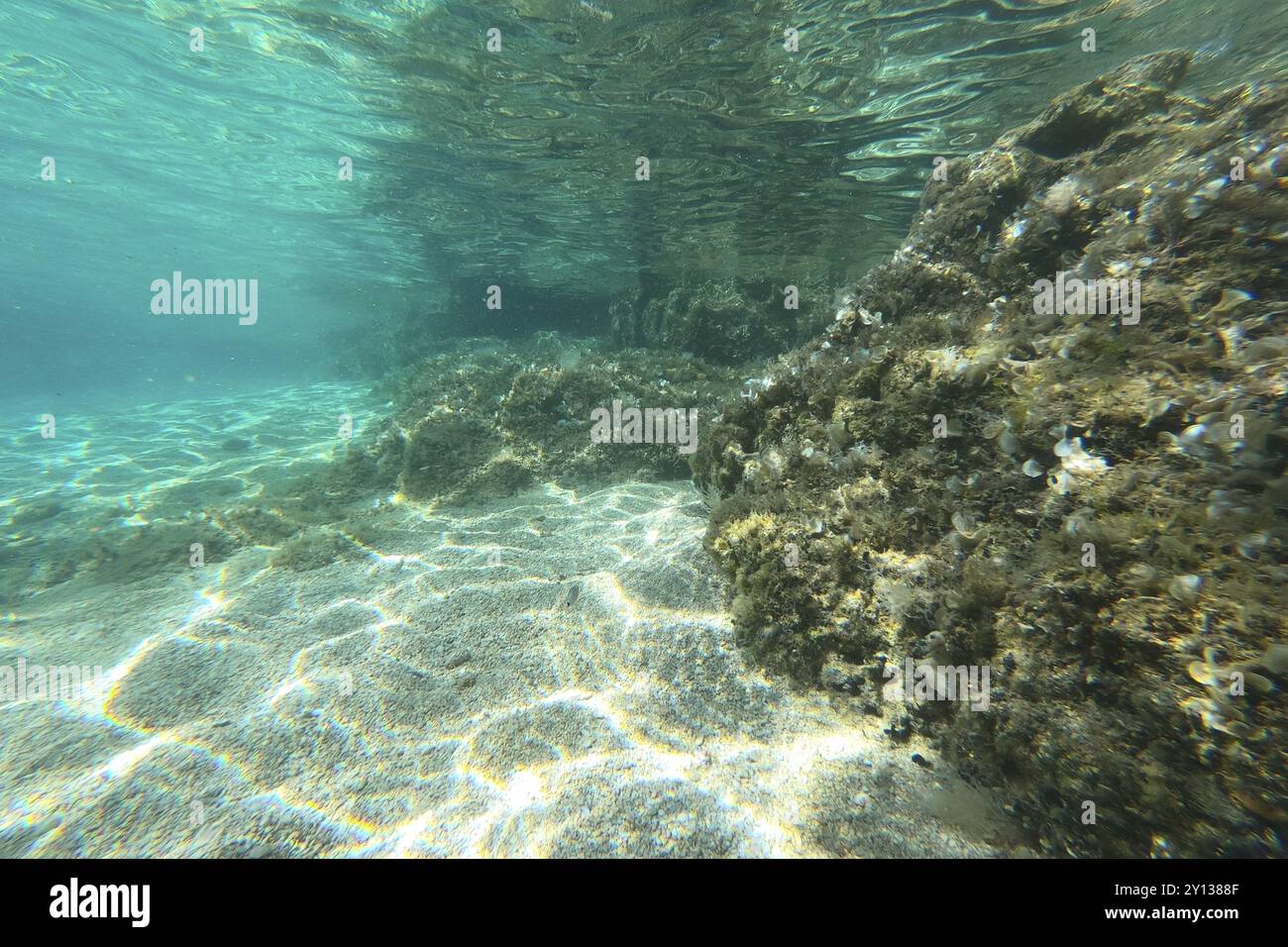 Photo of underwater rocks, sand and stones. The beautiful sandy and ...