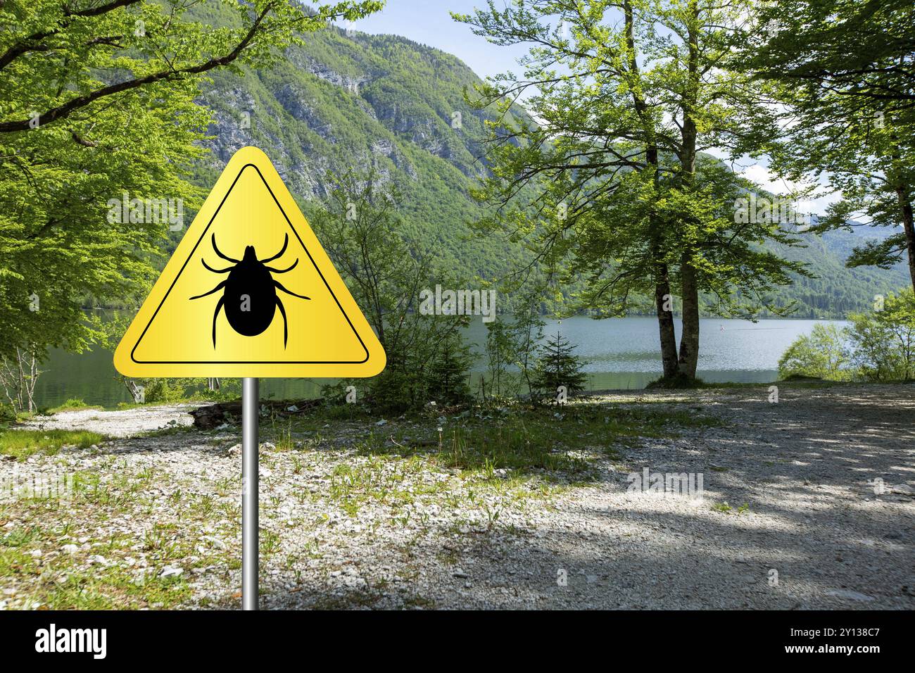 Tick insect warning sign in infected forest. Lyme disease and ...
