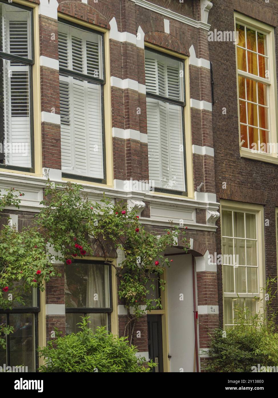 Facade of a historic house decorated with climbing roses and white ...
