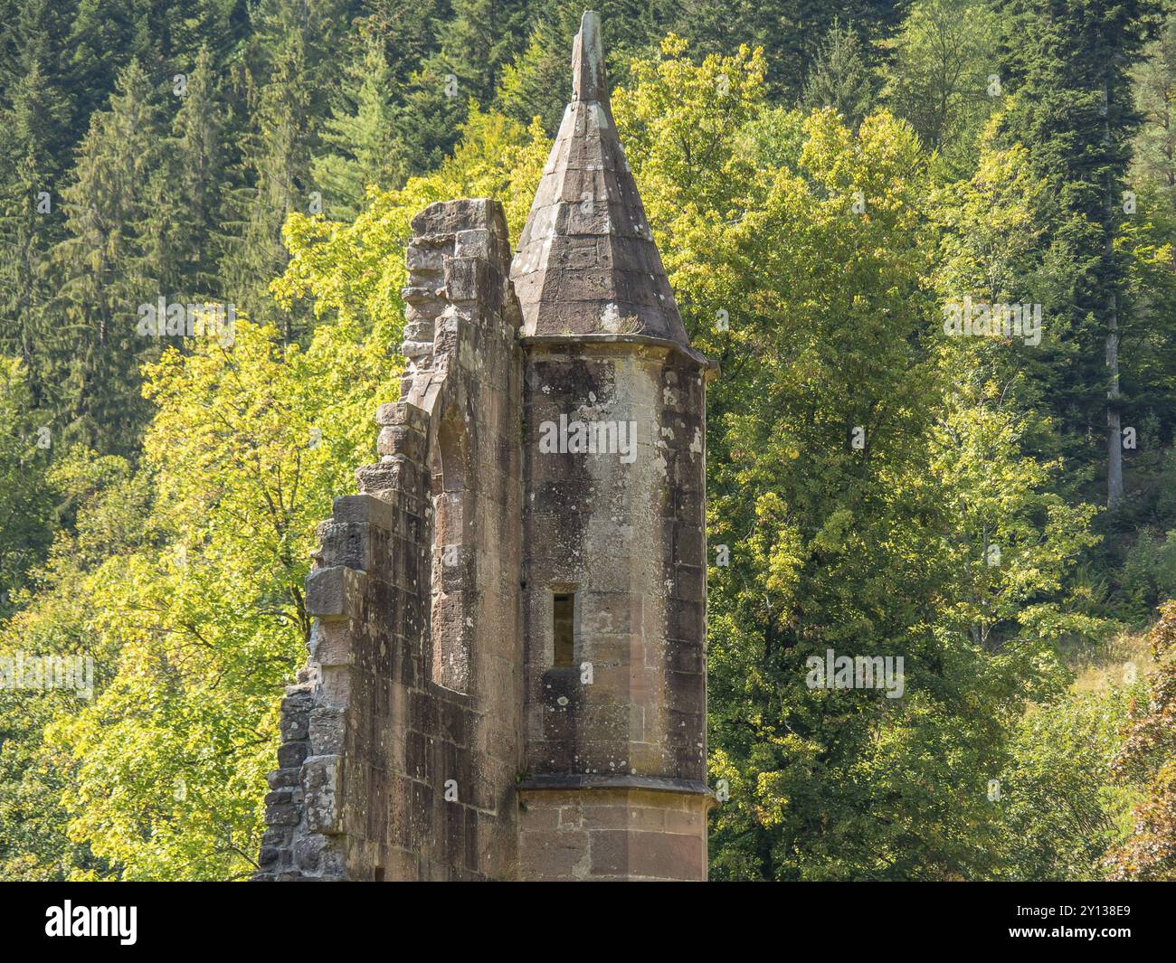 A tower-like remnant of a ruin in front of a dense forest, Black Forest ...