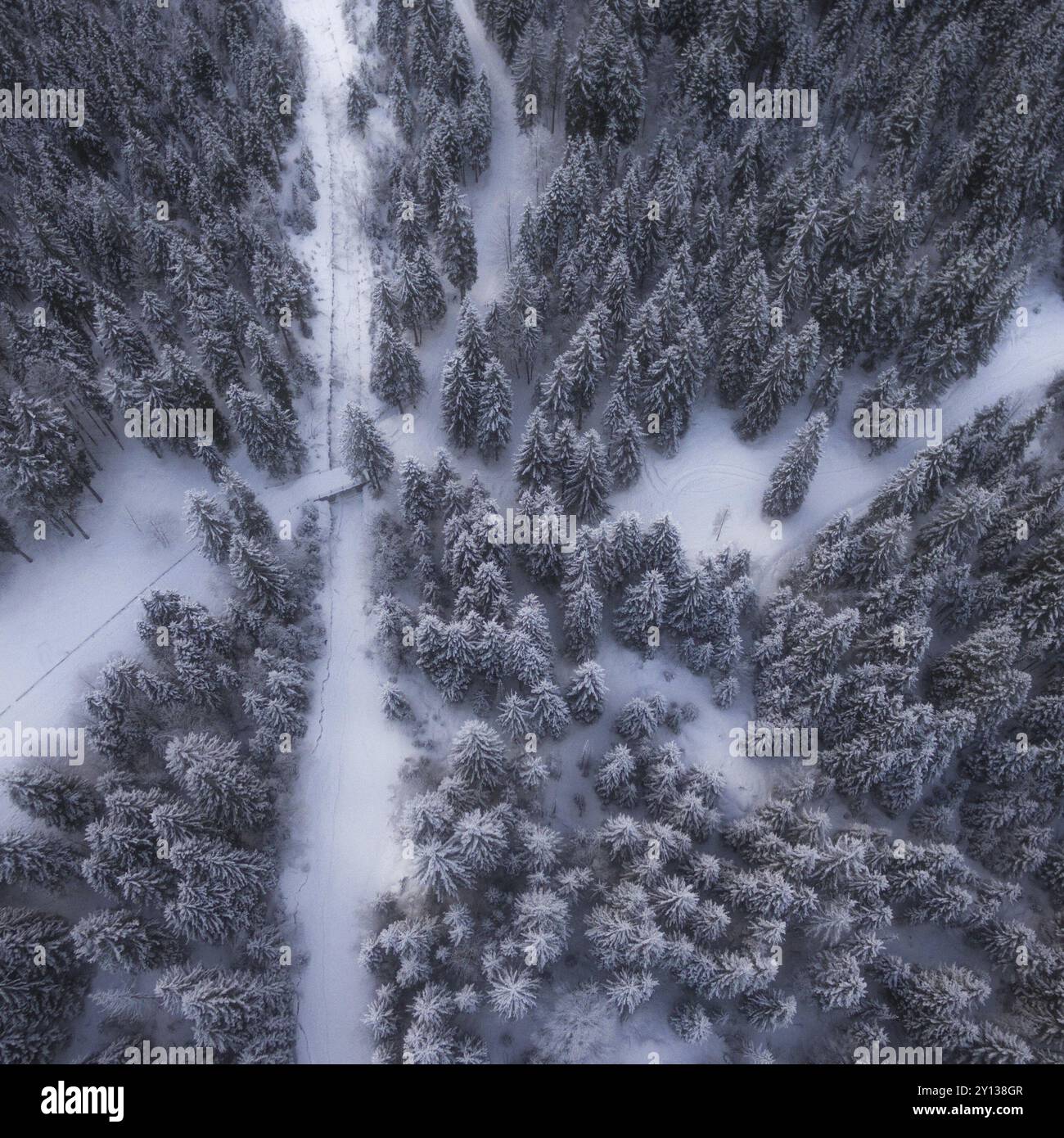 Aerial point of view of road in idyllic winter landscape. from a birds ...