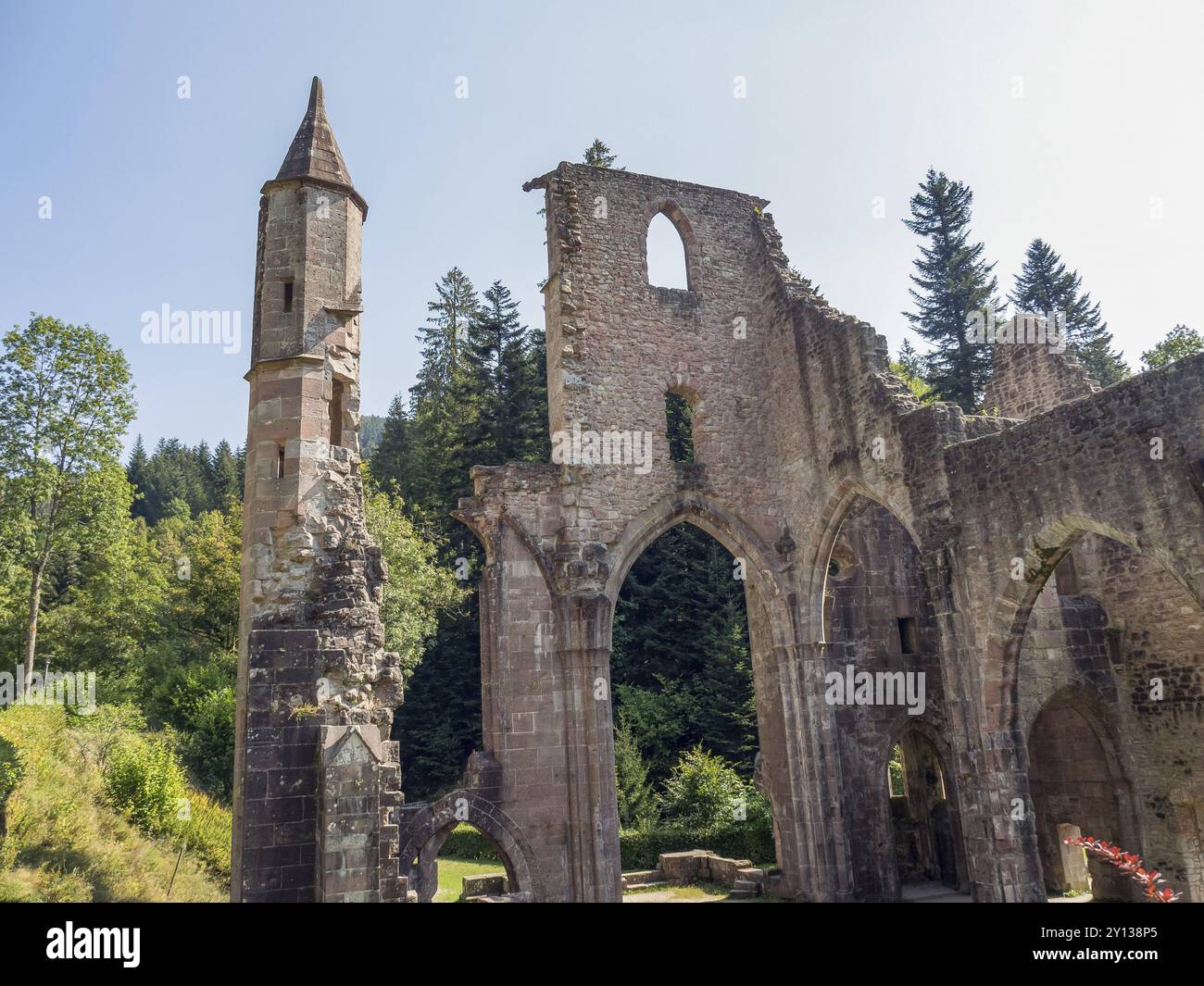 Old ruin with a large tower and stone walls surrounded by a dense ...