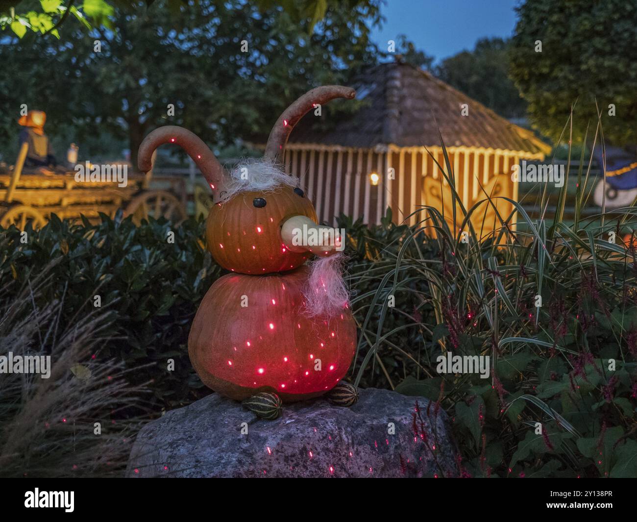 Pumpkin decorated as a creative creature in the garden, illuminated ...