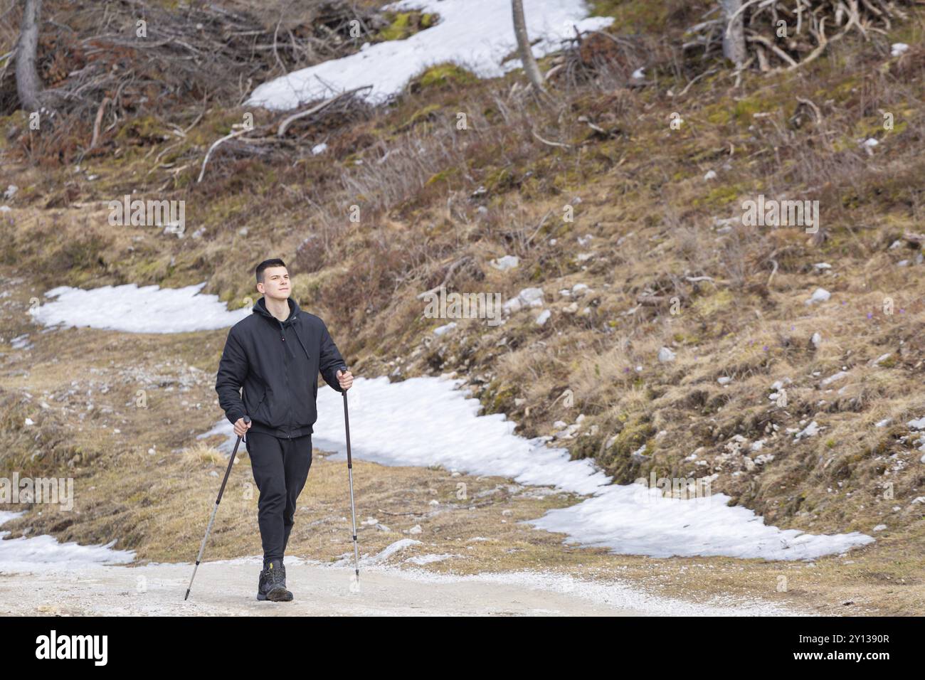 Casual and active healthy man hiking in Alpine mountains with trekking ...