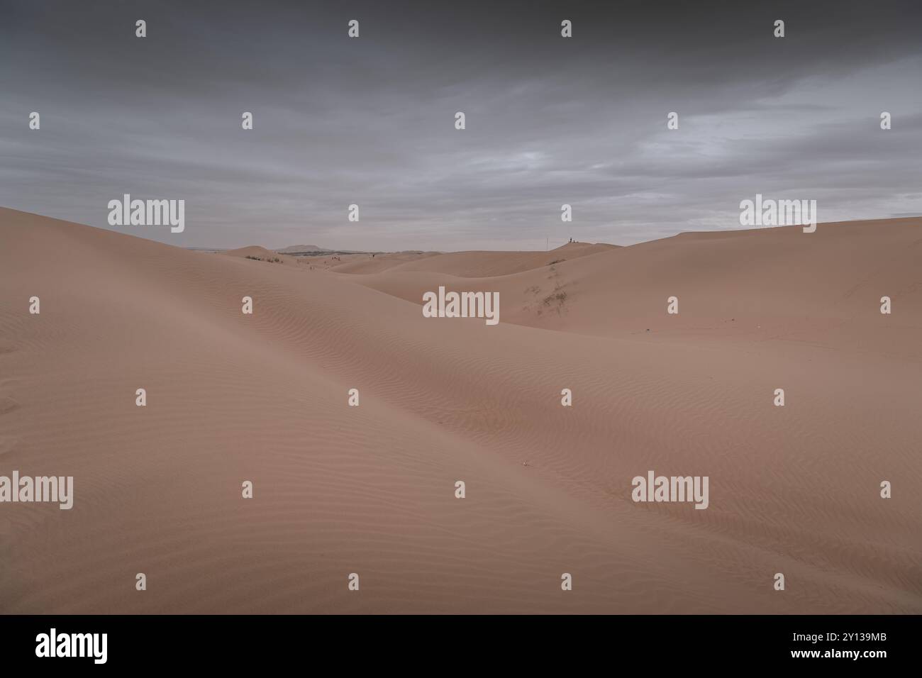 Tengger desert scenery, Inner Mongolia, China. The windy weather with ...