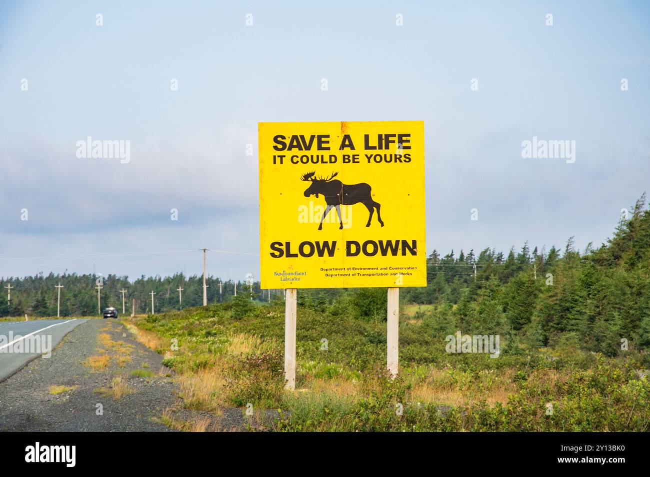 Moose warning sign on Trans Canada highway in Goobies, Newfoundland ...