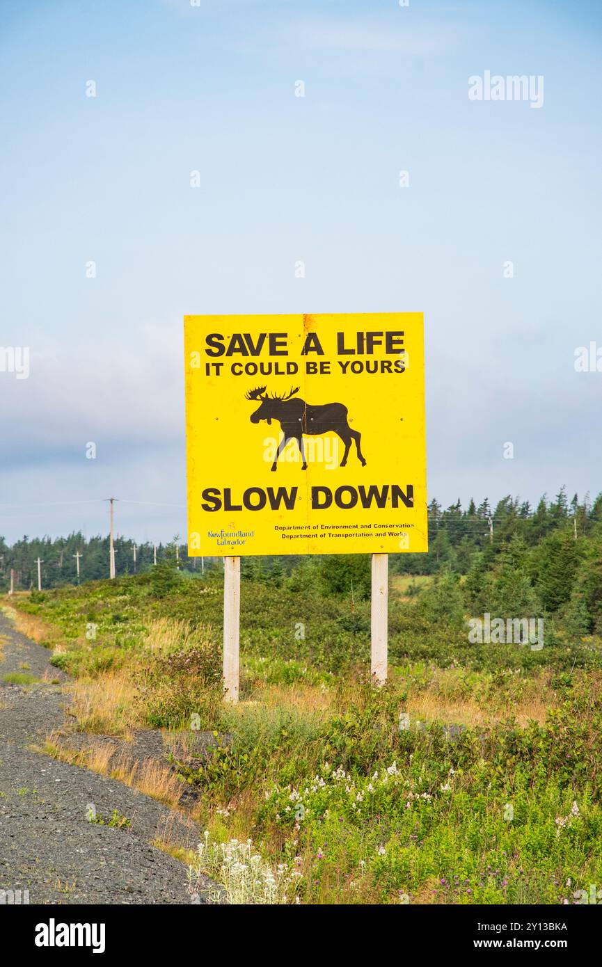 Moose warning sign on Trans Canada highway in Goobies, Newfoundland ...