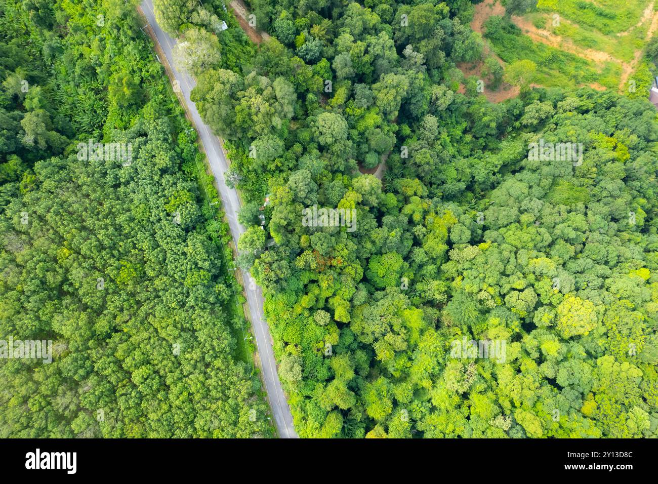 Aerial view Tropical Rainforest trees mountains,Top view green forest ...