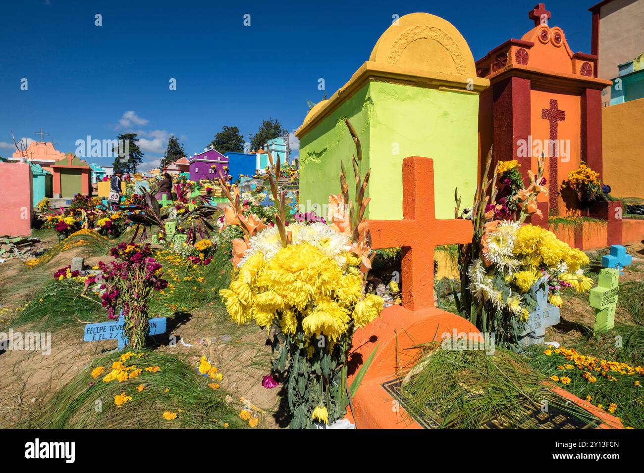 Freshly painted colorful graves, Day of the Dead celebration at the ...