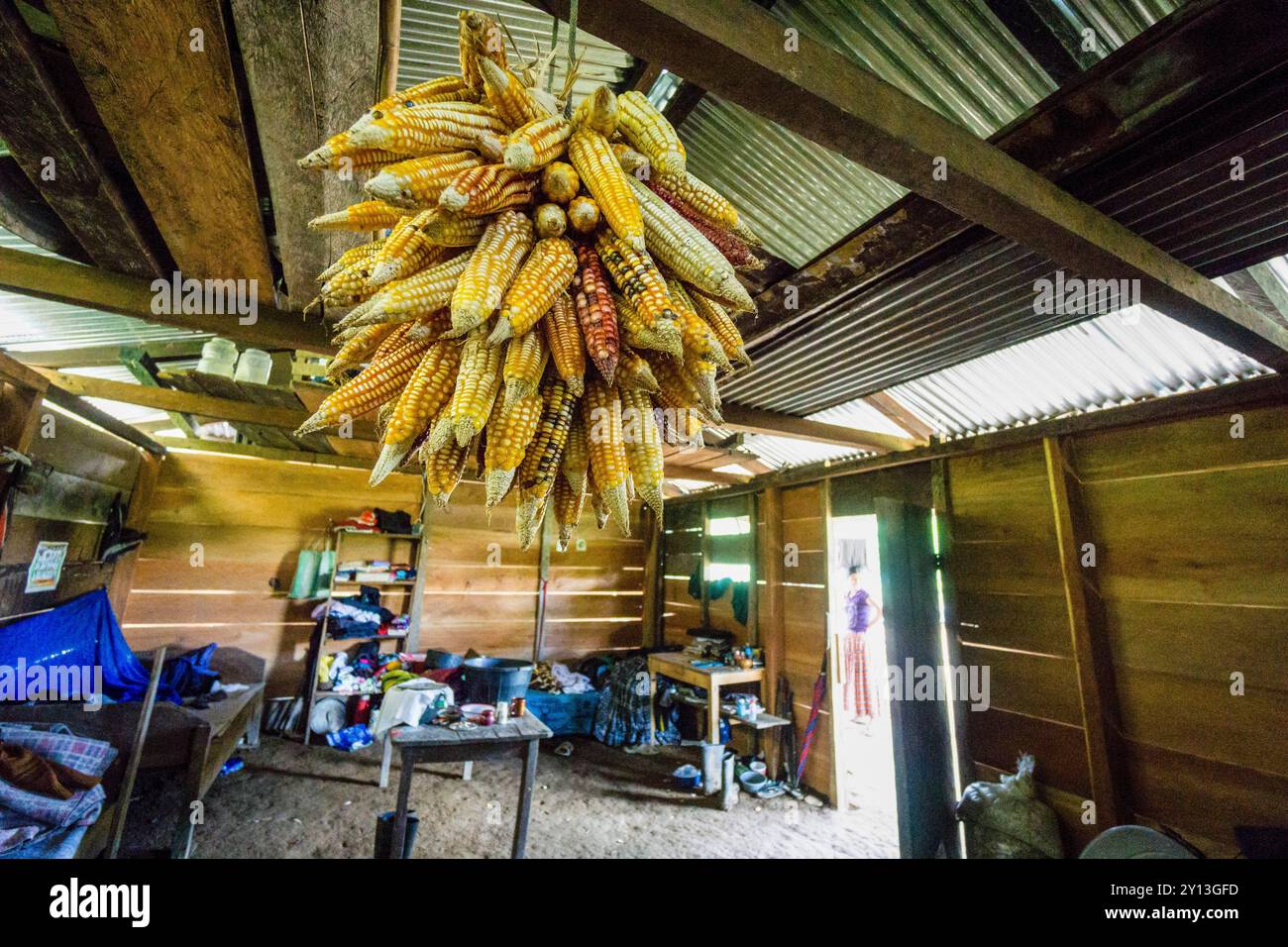 corn cob reserves, Lancetillo, La Parroquia, Reyna zone, Quiche ...